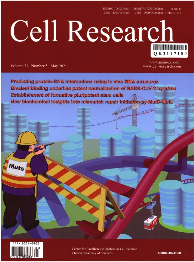 Cell Research杂志-首页-期刊之家